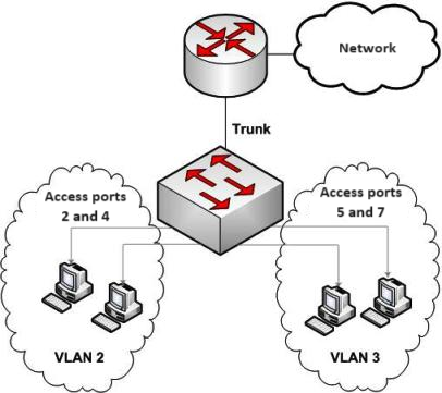 Understanding VLAN: The Backbone of Network Segmentation - Tech@Layer-x.com